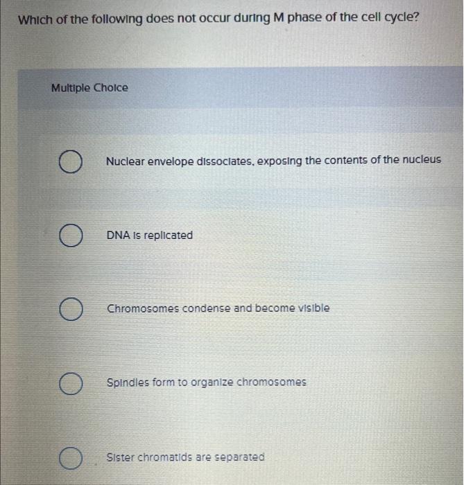 Solved As a cell moves through interphase, which of the | Chegg.com