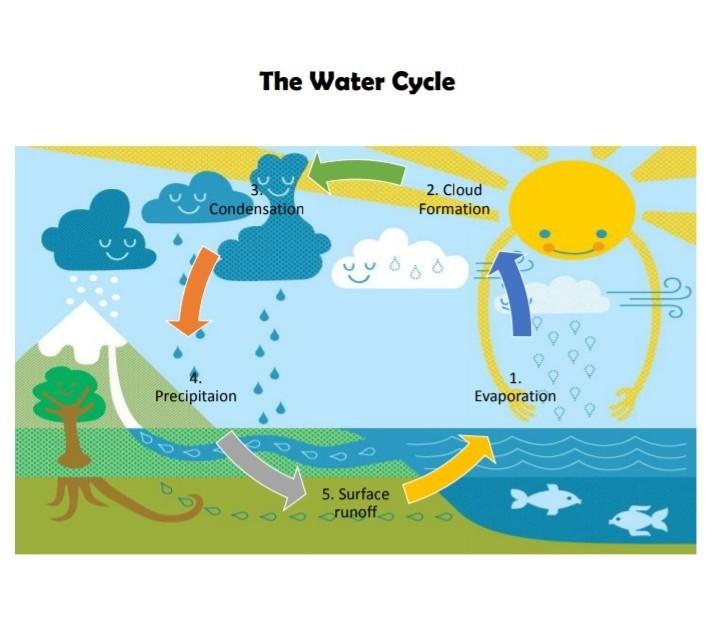 Solved Directions: You are going to be using Smart Art to | Chegg.com