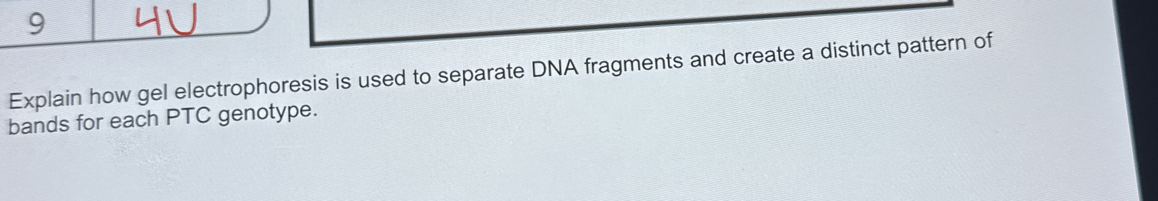 Solved Explain how gel electrophoresis is used to separate | Chegg.com