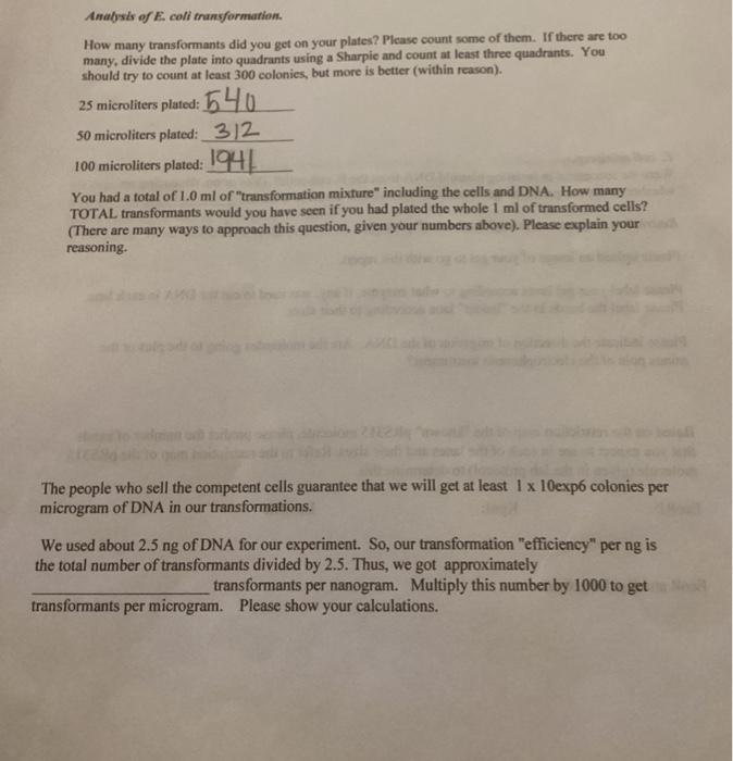 Solved Anatosis of E coll transformation. How many | Chegg.com