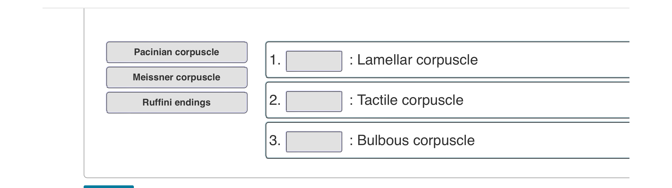 Solved Pacinian corpuscleMeissner corpuscleRuffini endings: | Chegg.com