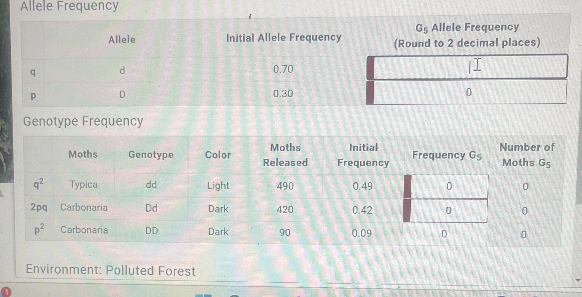Solved Allele Frequency\table[[,Allele,Initial Allele | Chegg.com