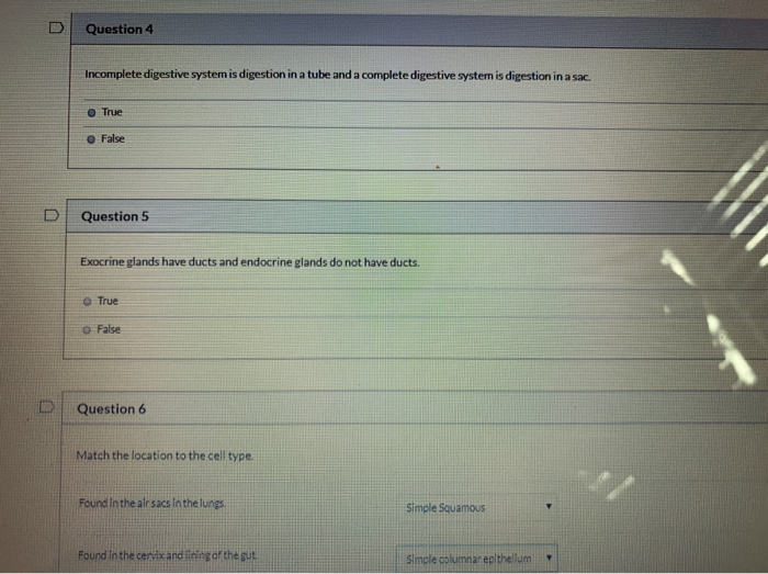 Solved Question 4 Incomplete digestive system is digestion | Chegg.com