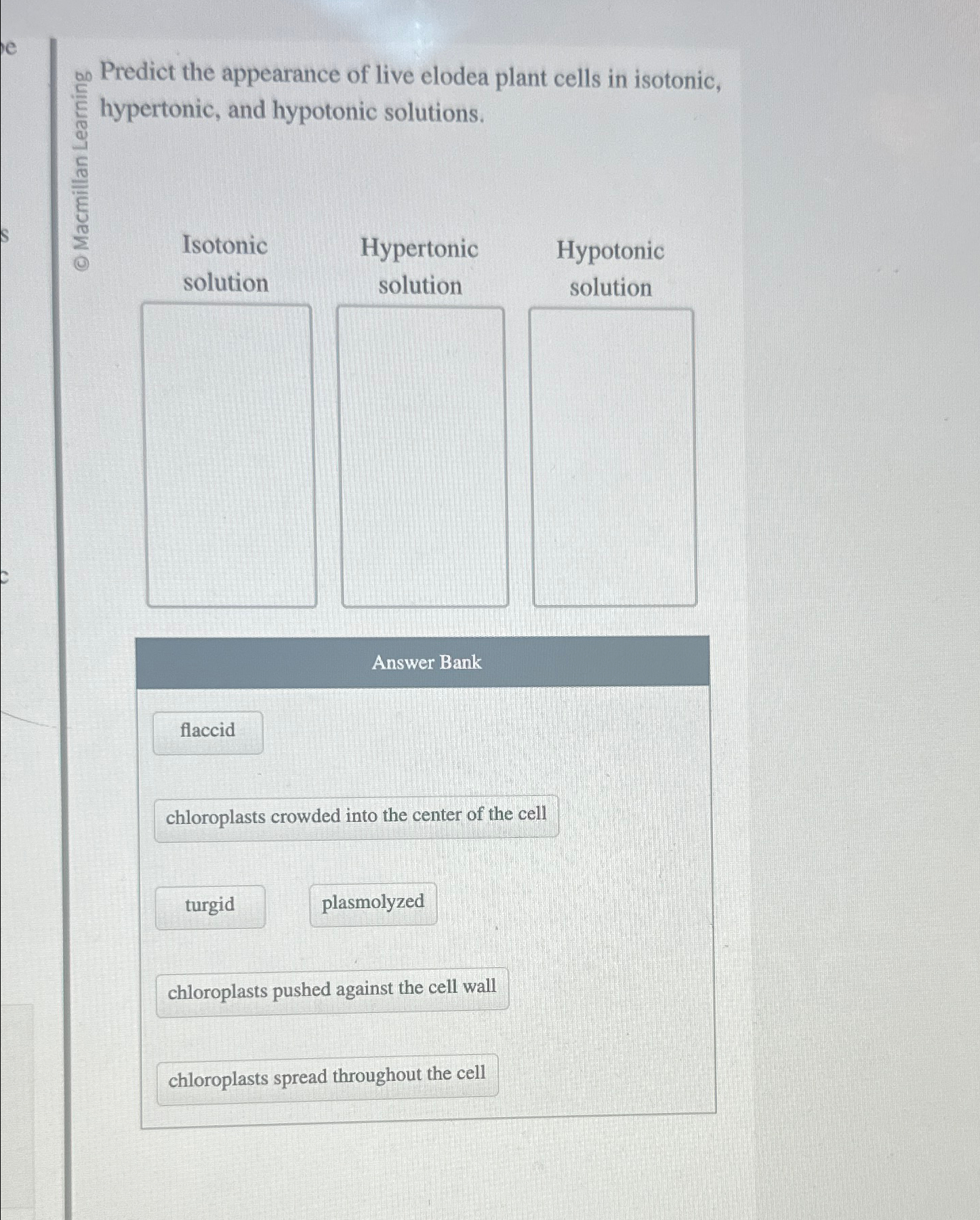 Solved Predict the appearance of live elodea plant cells in | Chegg.com