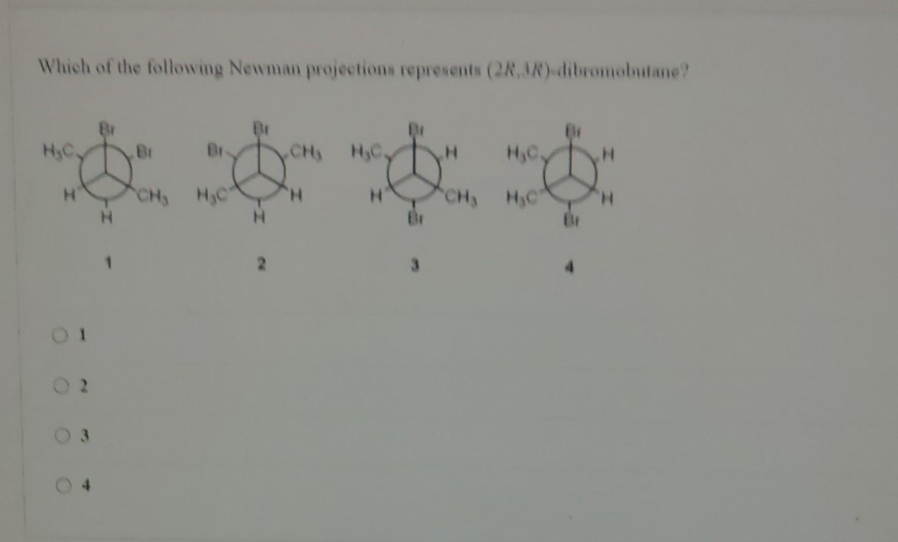 Solved Which of the following Newman projections represents | Chegg.com