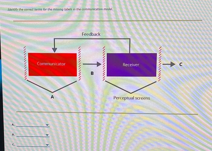 Solved Identify the correct terms for the missing labels in | Chegg.com