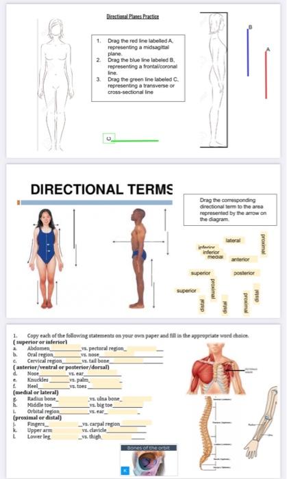 Solved Directional Planes Practice 1. Drag the red line | Chegg.com