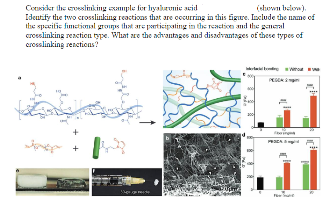 Solved Consider the crosslinking example for hyaluronic | Chegg.com