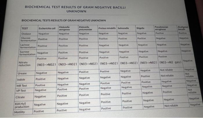 Solved BIOCHEMICAL TEST RESULTS OF GRAM NEGATIVE BACILLI | Chegg.com