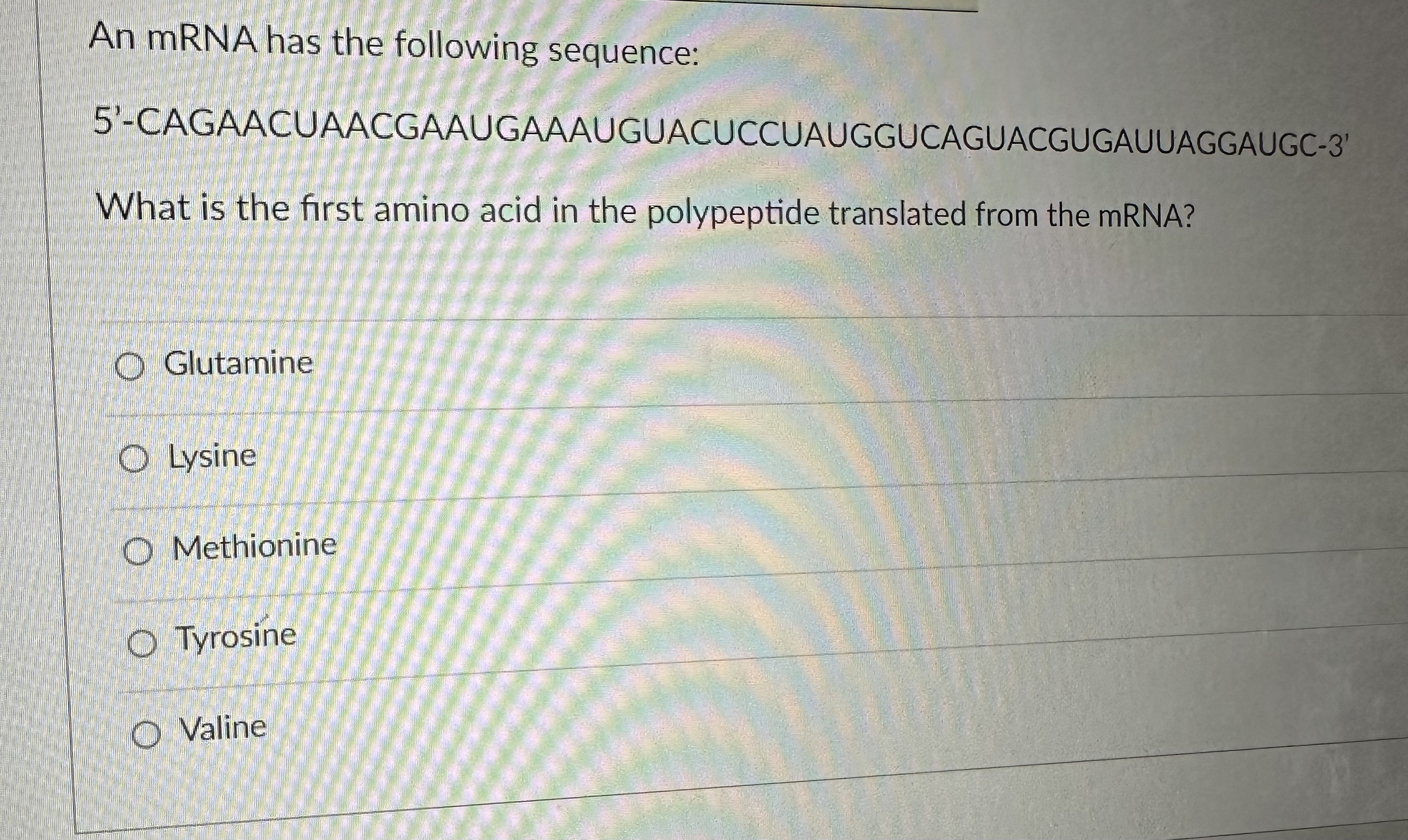 Solved An mRNA has the following | Chegg.com