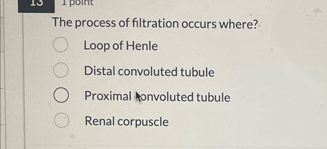 Solved The process of filtration occurs where?Loop of | Chegg.com