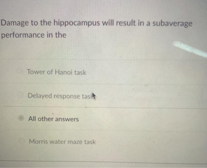 Solved Damage to the hippocampus will result in a subaverage | Chegg.com