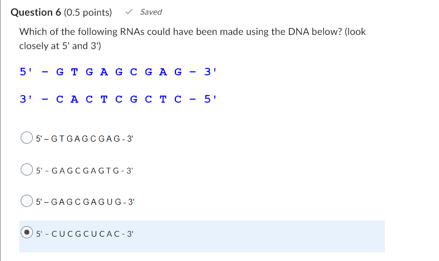 Solved which of the following rnas could have been made | Chegg.com
