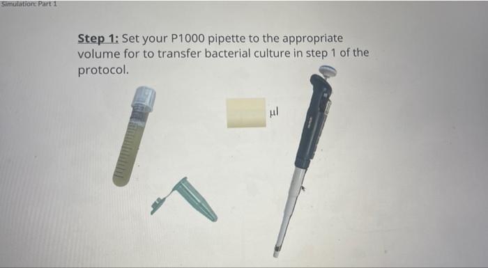 Solved Simulation: Part 1 Step 1: Set your P1000 pipette to | Chegg.com