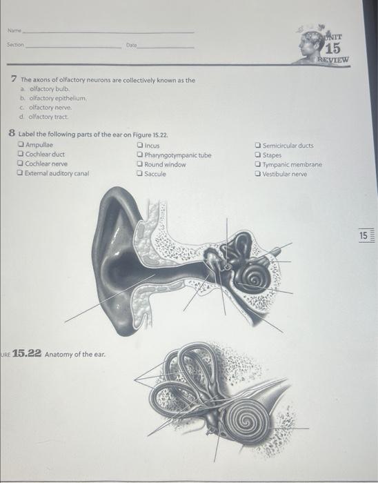 Solved 2 Matching: Match the following terms with the | Chegg.com