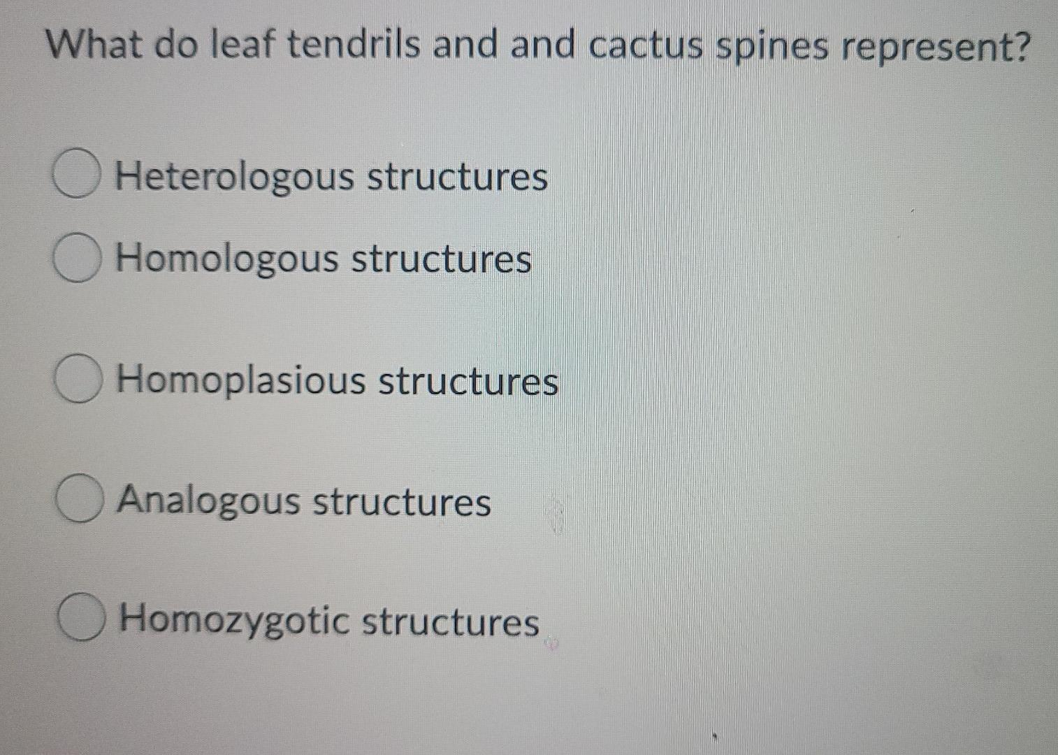 Solved What do leaf tendrils and and cactus spines | Chegg.com