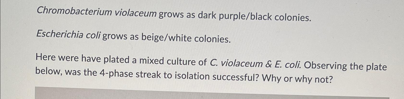 Solved Chromobacterium violaceum grows as dark purple/black | Chegg.com