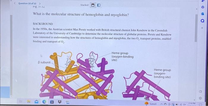 Solved What is the molecular structure of hemoglobin and | Chegg.com