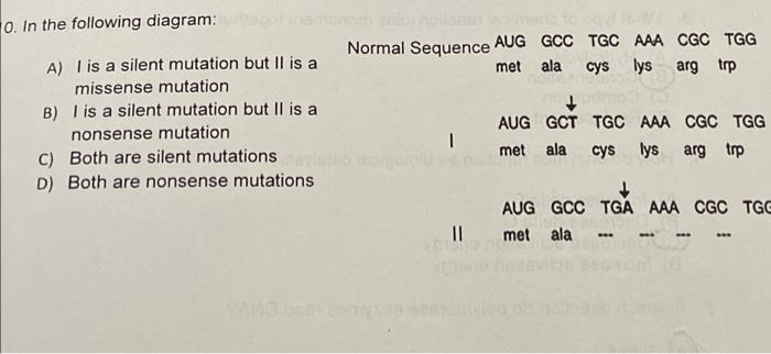 Solved O. In the following diagram: A) I is a silent | Chegg.com