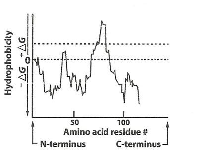 Solved In the following graph, the hydrophobicity of the | Chegg.com
