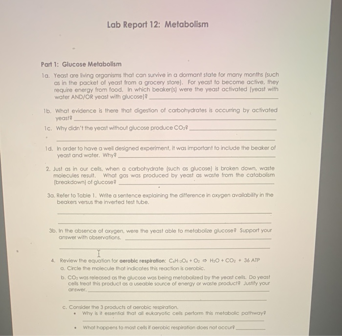 Solved Lab Report 12: Metabolism Part 1: Glucose Metabolism | Chegg.com