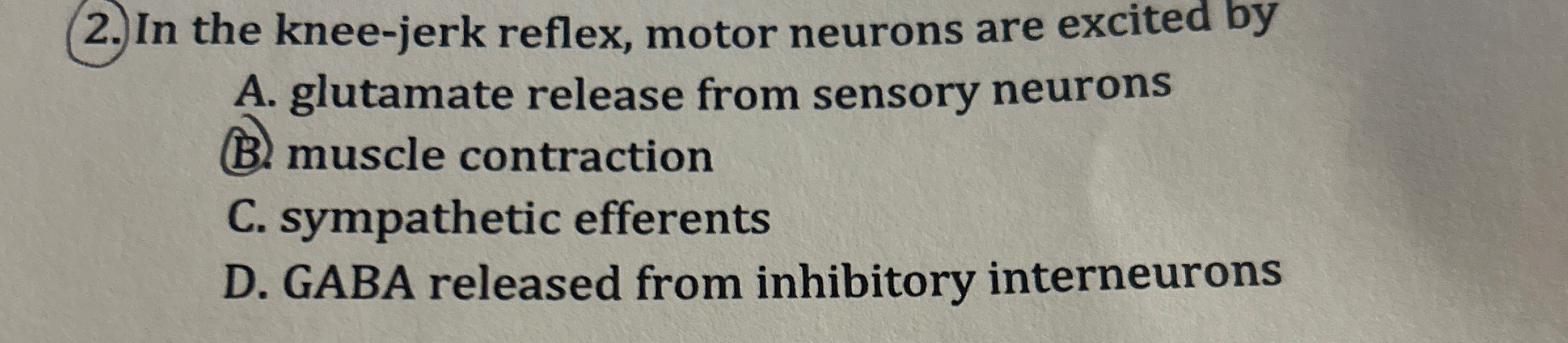 Solved In the knee-jerk reflex, motor neurons are excited | Chegg.com