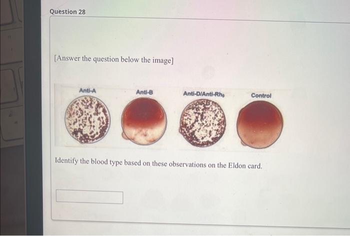 Solved Question 28 [Answer the question below the image] | Chegg.com