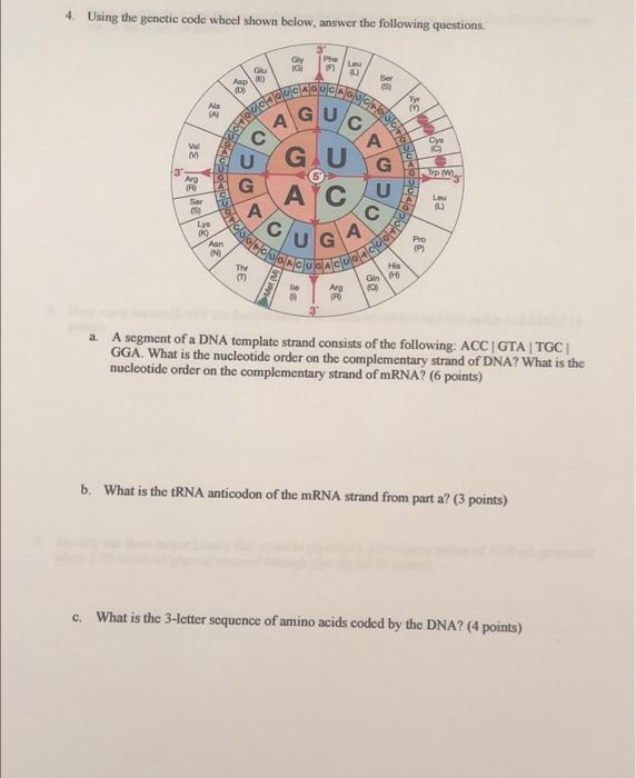 Solved 4. Using the genetic code wheel shown below, answer | Chegg.com