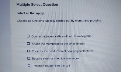 Solved Multiple Select QuestlonSelect all that applyChoose | Chegg.com