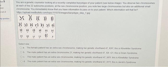 Solved You observe two chromosomes at each of the 22 | Chegg.com