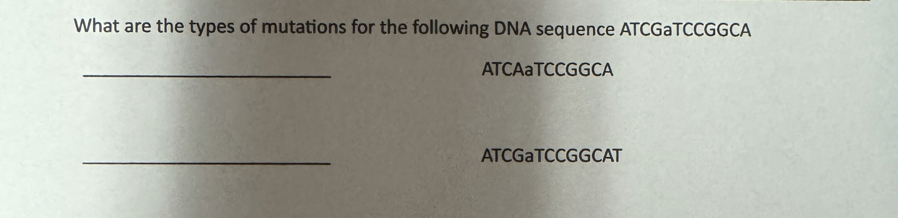 Solved What are the types of mutations for the following DNA | Chegg.com