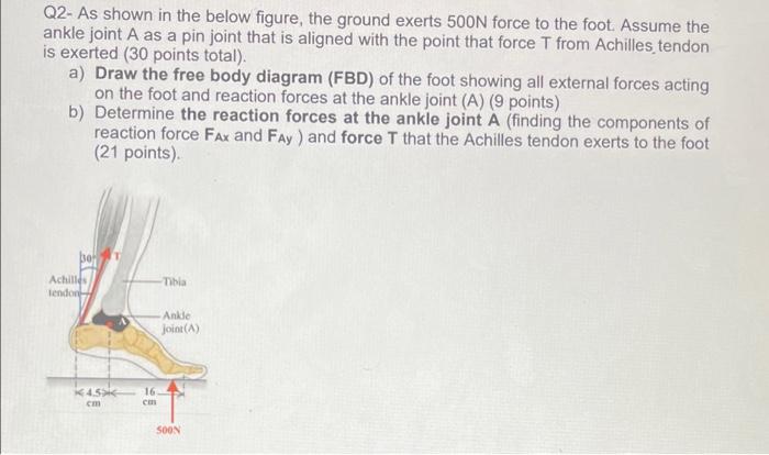 Solved Q2- As shown in the below figure, the ground exerts | Chegg.com