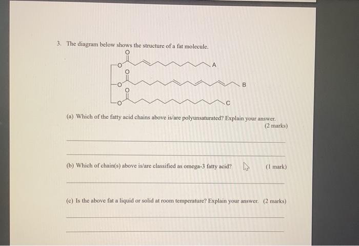 Solved 3. The diagram below shows the structure of a fat | Chegg.com