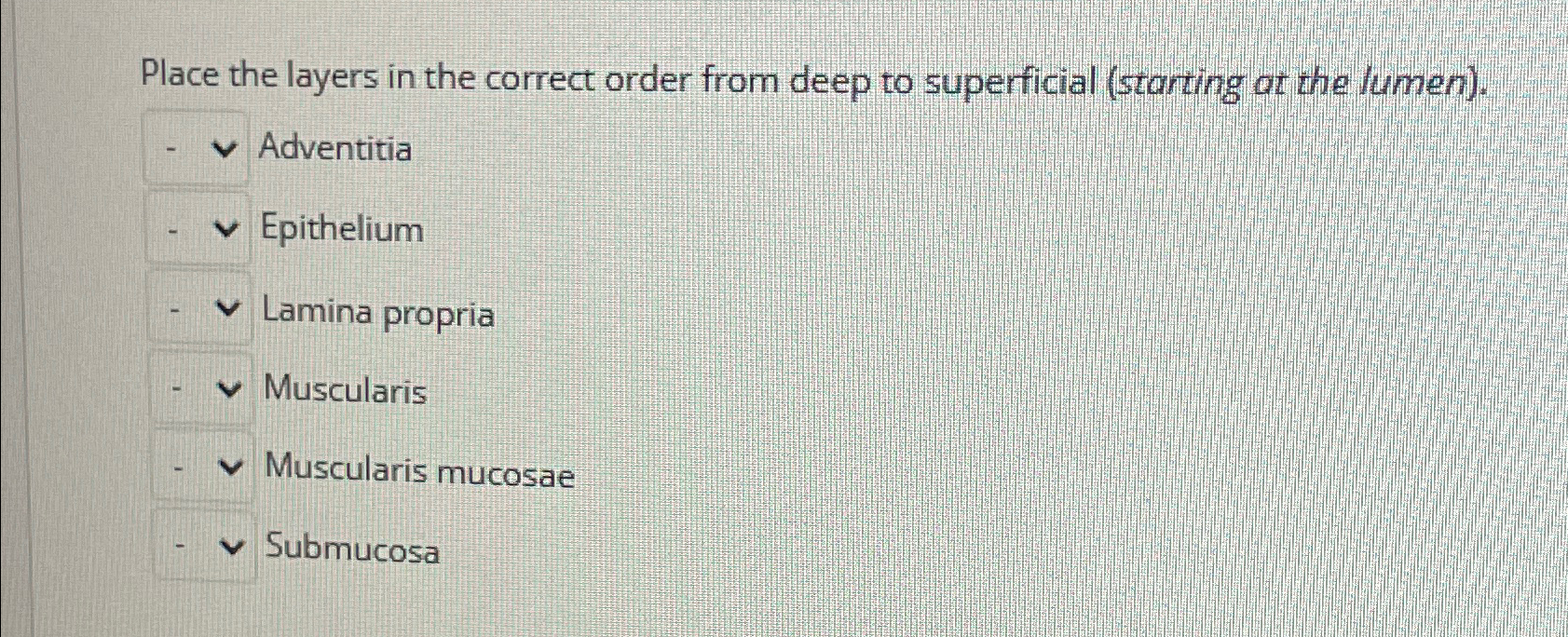 Solved Place the layers in the correct order from deep to | Chegg.com