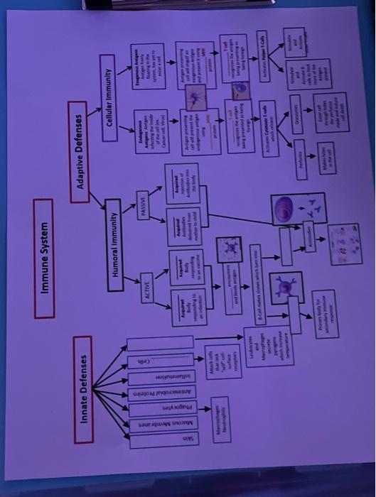 Solved please answer the following fill in the blanks below | Chegg.com