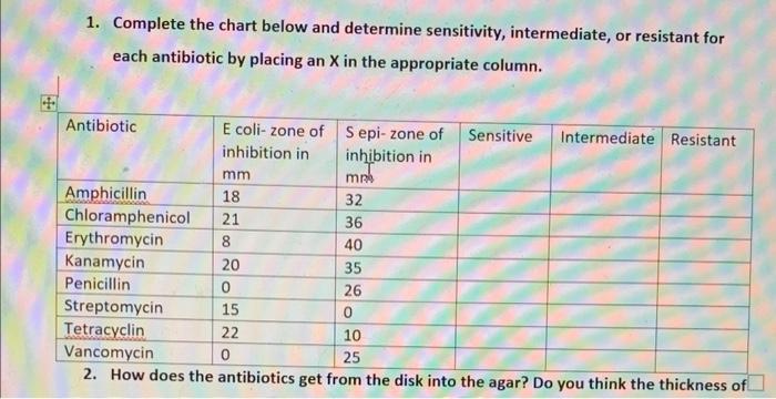 Solved 2. How does the antibiotics get from the disk into | Chegg.com
