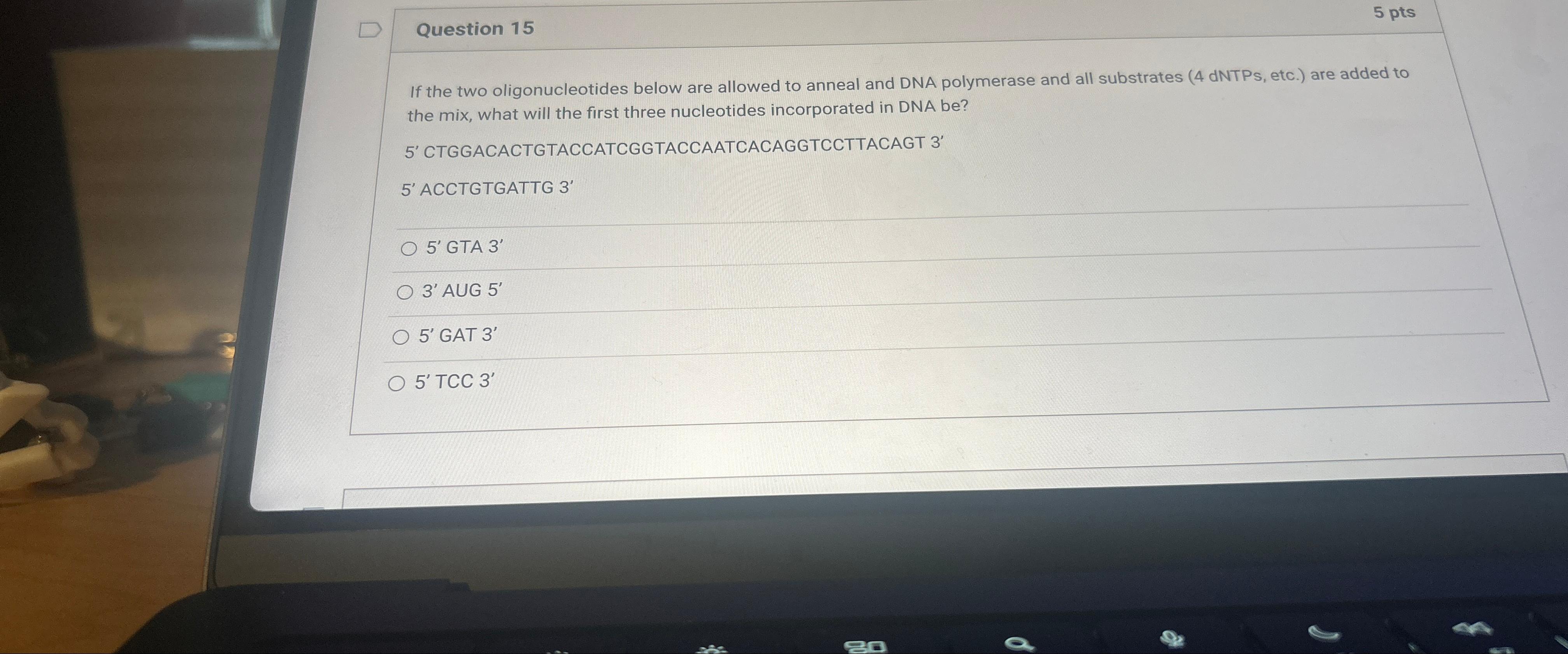 Solved Question 155 ﻿ptsIf the two oligonucleotides below | Chegg.com