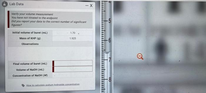 Solved Lab Data - X -5 Verity your volume measurement You | Chegg.com