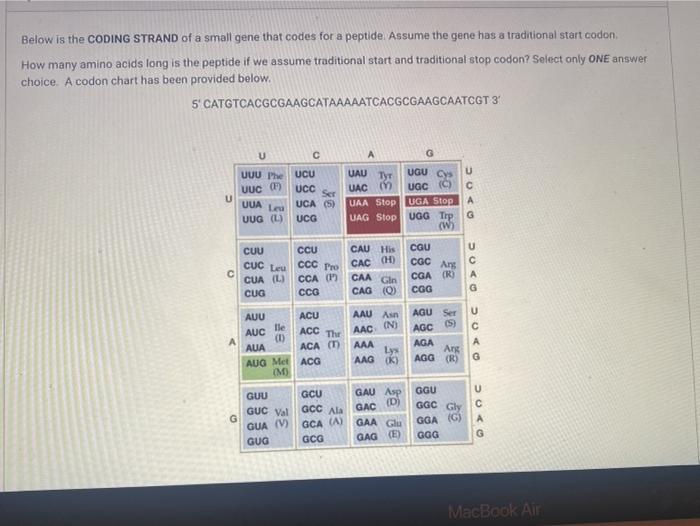 Solved Below is the CODING STRAND of a small gene that codes | Chegg.com