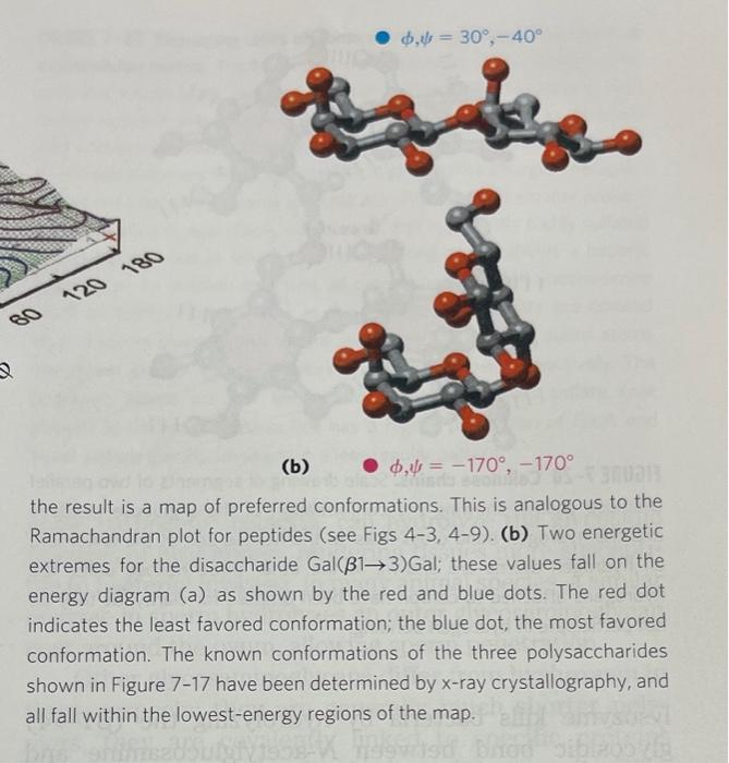 Solved 21. Relative Stability of Two Conformers Explain why | Chegg.com