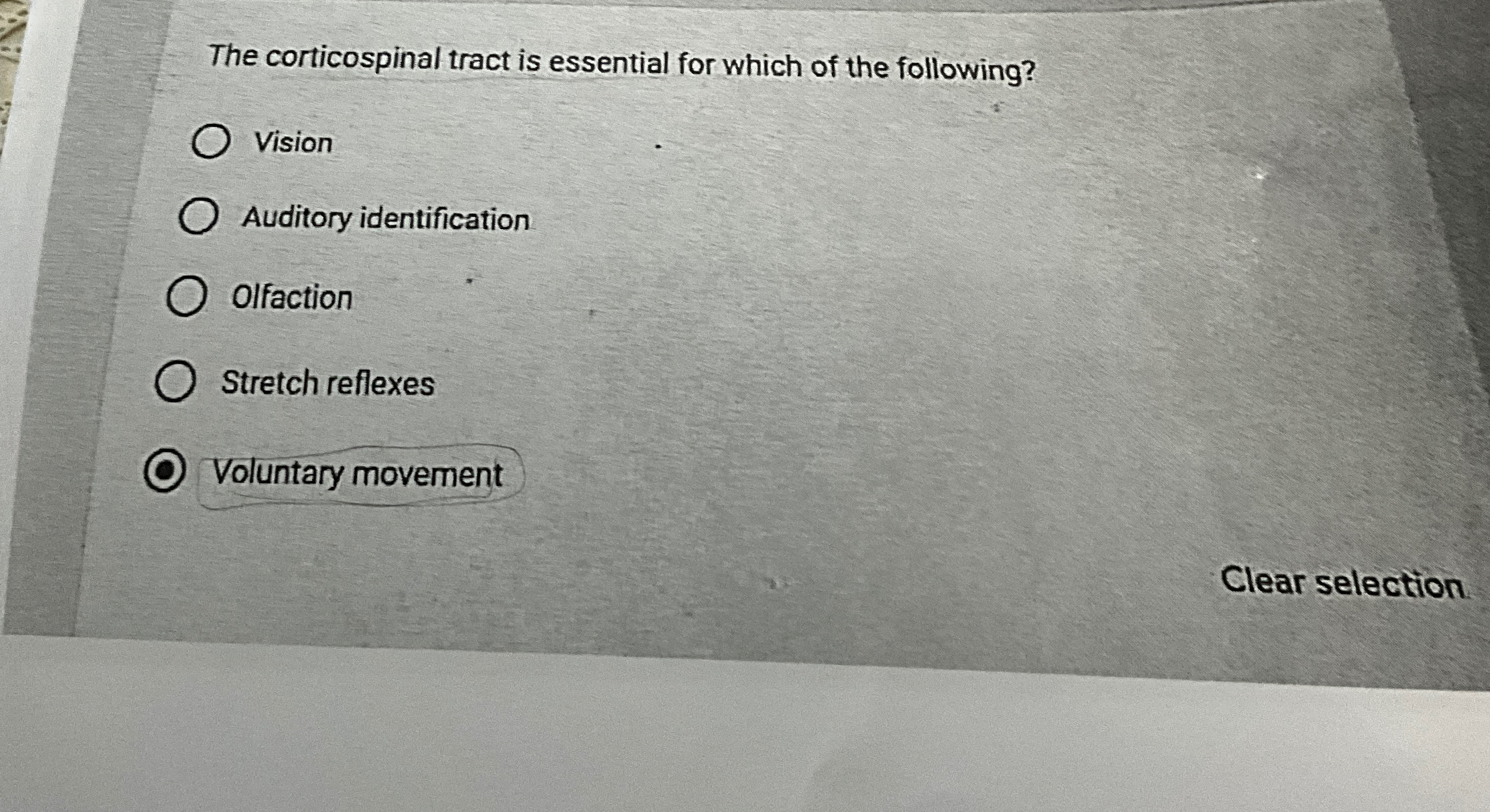 Solved The corticospinal tract is essential for which of the | Chegg.com