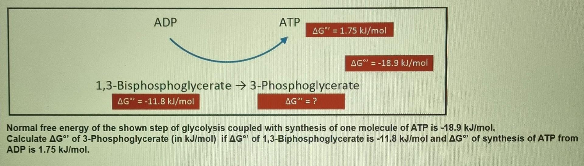 Solved ADP ATP AG 1 75 KJ mol AG 18 9 KJ mol Chegg