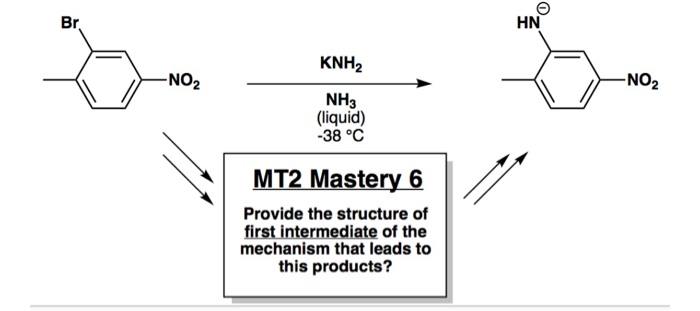 Solved KNH2 NO2 NH3 (liquid) -38 °C MT2 Mastery 6 Provide | Chegg.com