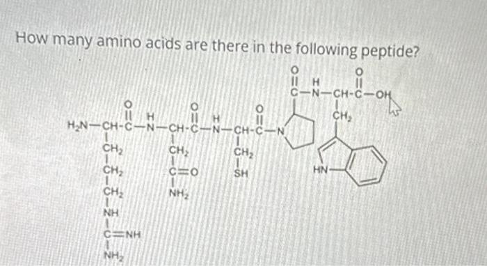 Solved How many amino acids are there in the following | Chegg.com