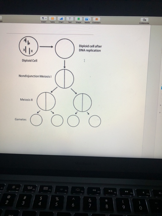 Solved Collaborate huen Table Chart Text Shape 2. In | Chegg.com