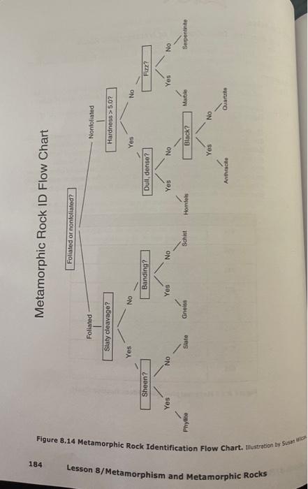 Solved Lab Exercise Lab Exercise: Identification of | Chegg.com
