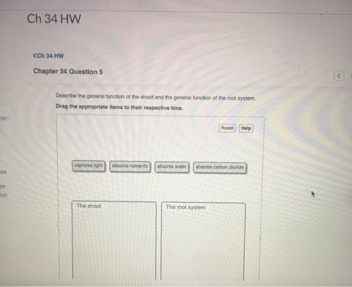 Solved Ch 34 HW | Chegg.com
