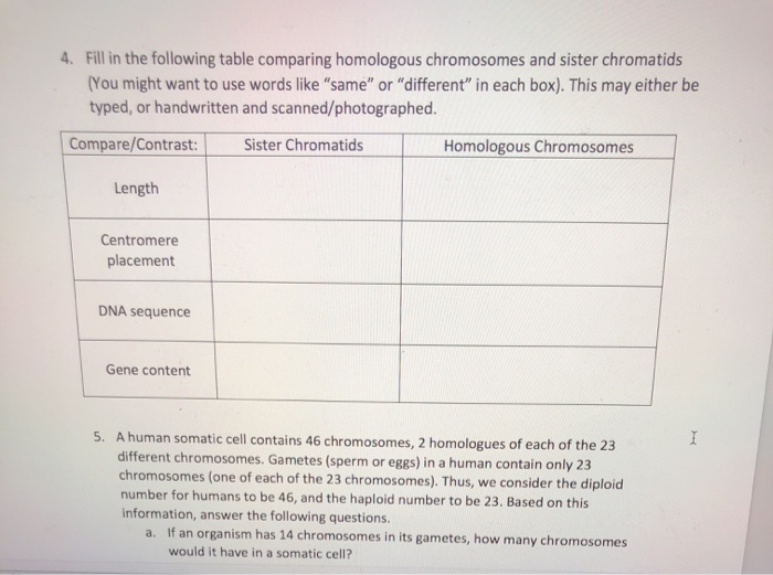 Solved 1. Draw out the process of mitosis by hand, | Chegg.com