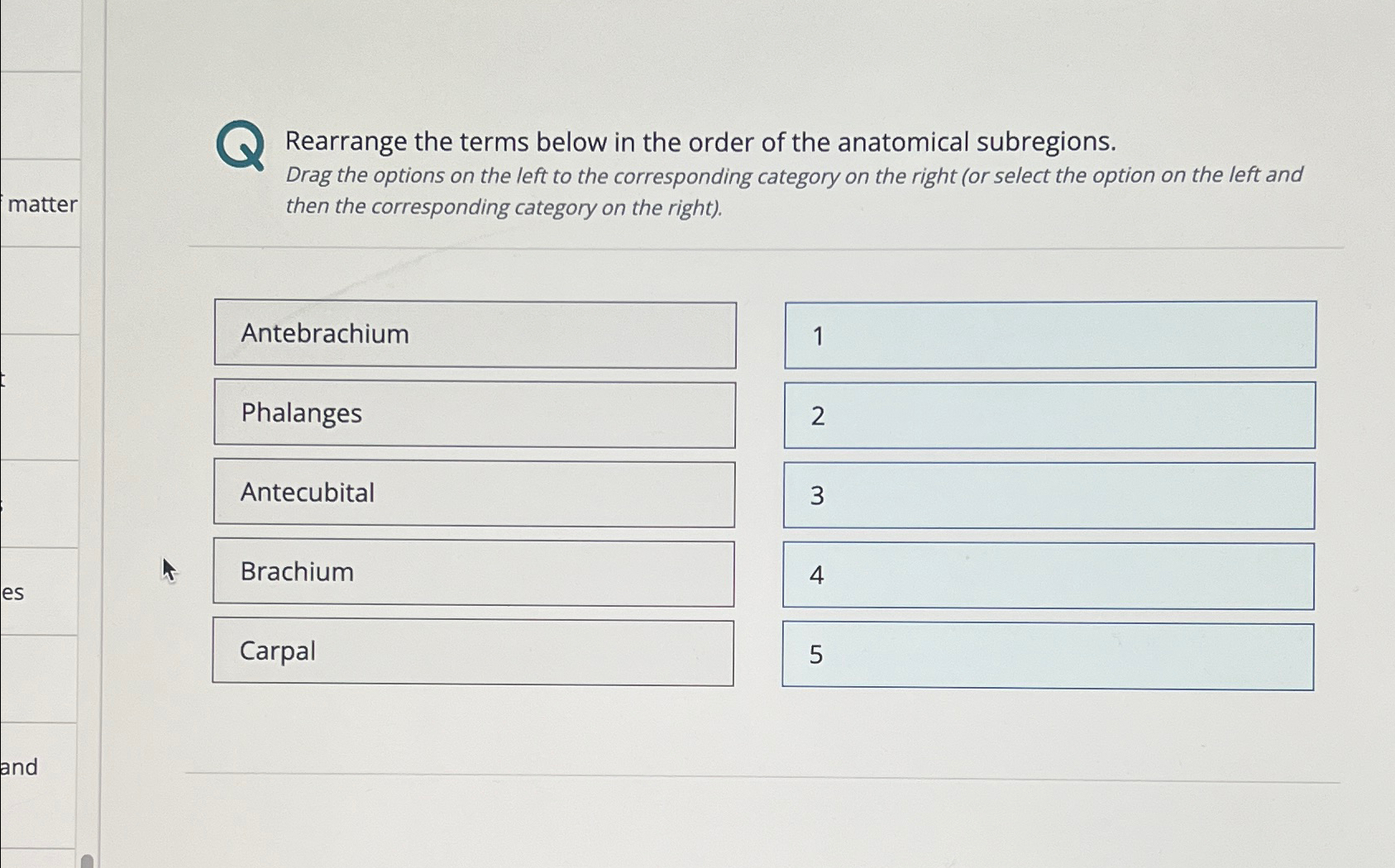 Solved Rearrange the terms below in the order of the | Chegg.com