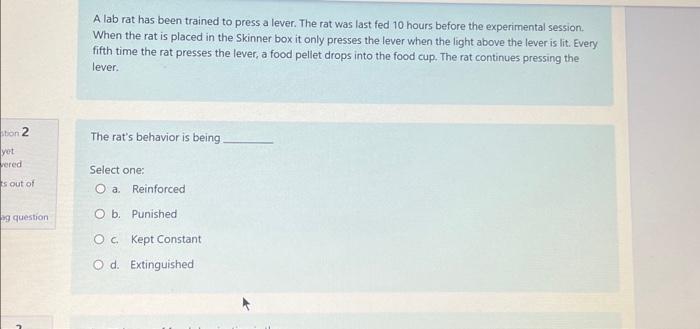 Solved A lab rat has been trained to press a lever. The rat | Chegg.com
